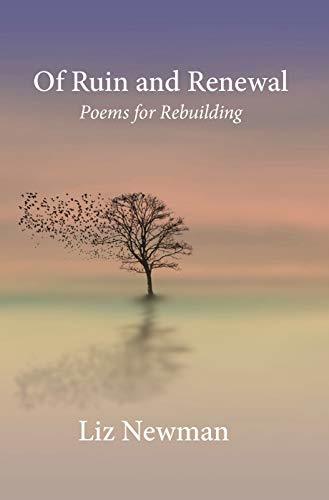 Of Ruin and Renewal: Poems For Rebuilding by Liz Newman | Goodreads