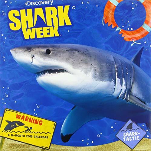 Shark Week 2019 Calendar (Discovery) by ACCO Brands | Goodreads