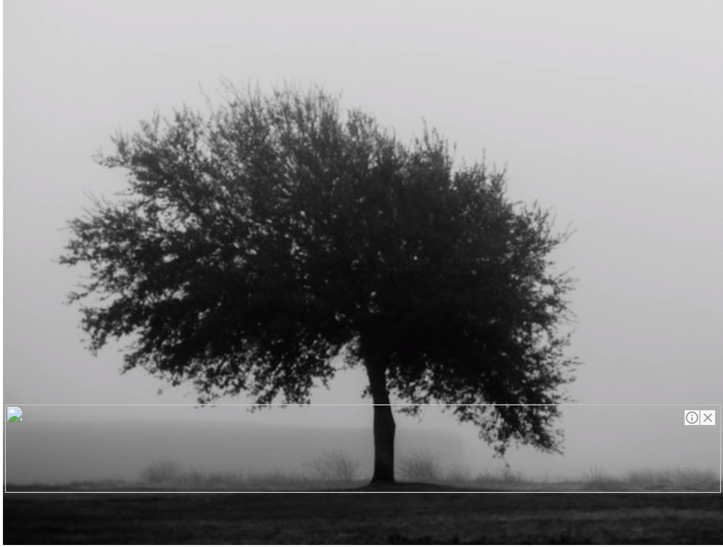 it's Your Movie by John Gradwell | Goodreads