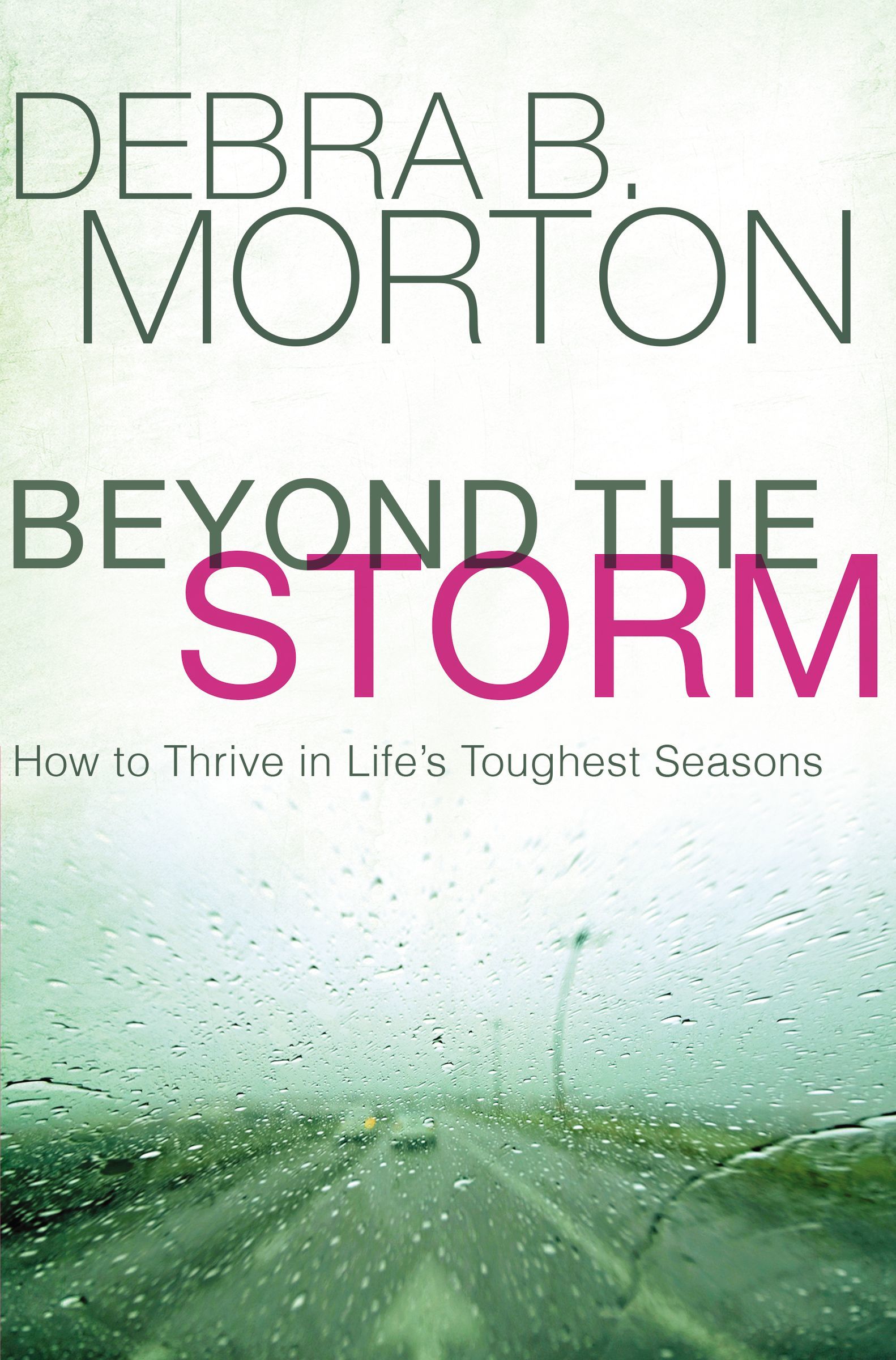 Beyond the Storm: How to Thrive in Life's Toughest Seasons by Debra B ...
