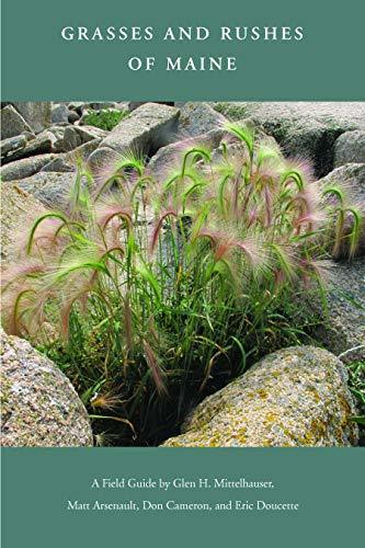 Grasses and Rushes of Maine by Matt Arsenault Eric Doucette Glen H ...