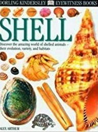 Shell by Matthew Ward | Goodreads