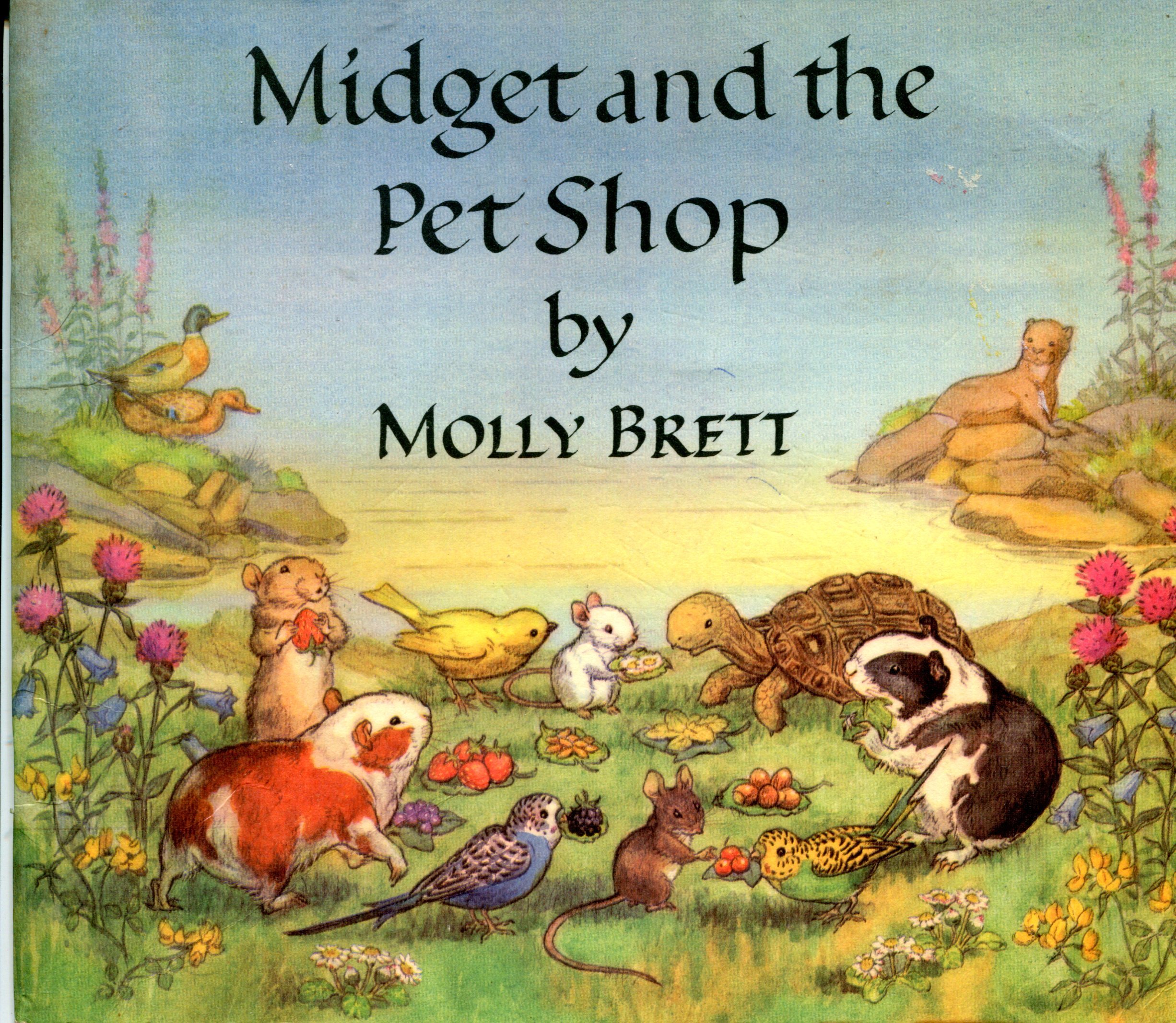 Midget and the Pet Shop by Molly Brett | Goodreads
