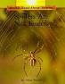 Spiders Are Not Insects (Rookie Read-About Science) by Allan Fowler ...