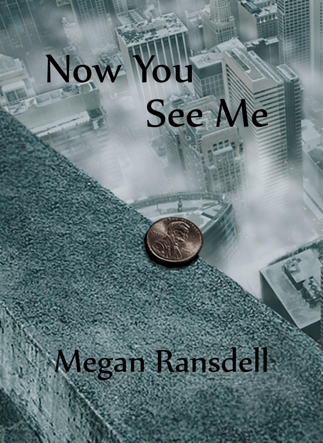 Now You See Me by Megan Ransdell | Goodreads