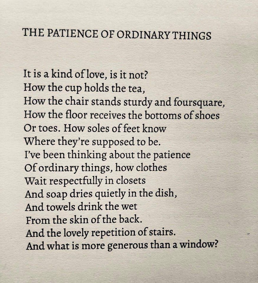 The Patience of Ordinary Things by Pat Schneider | Goodreads