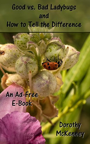 Good vs. Bad Ladybugs and How to Tell the Difference : An Ad-Free E ...