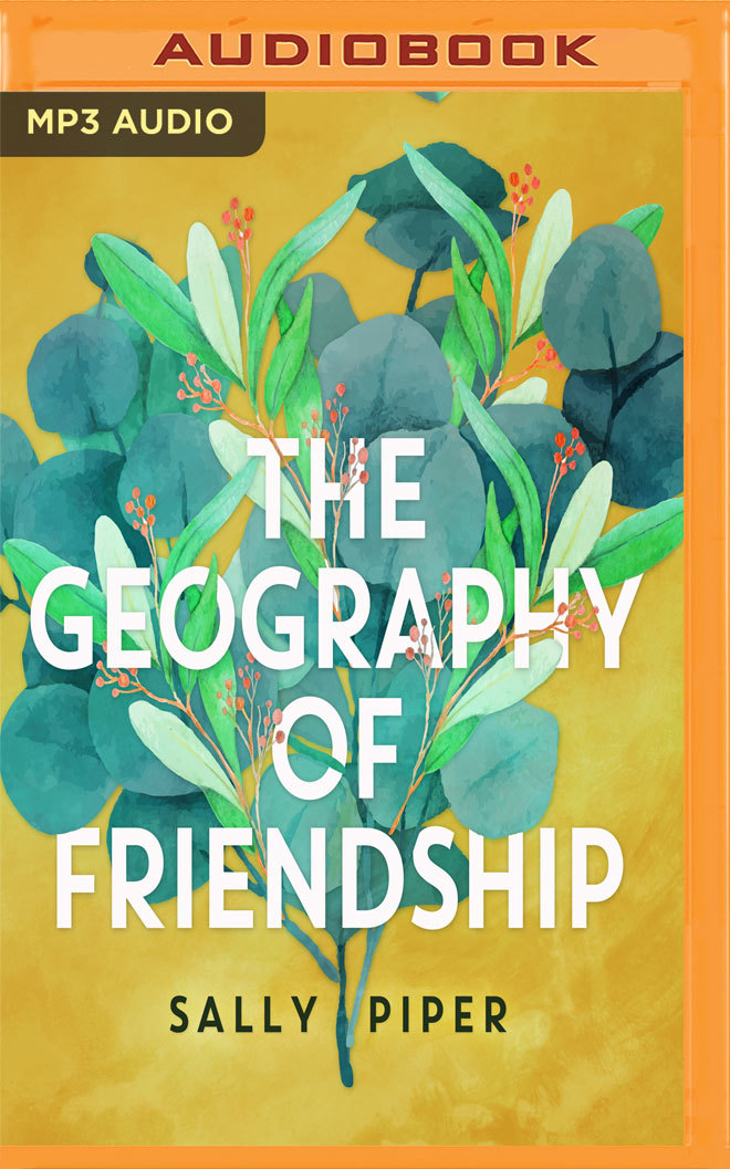 Geography of Friendship, The by Sally Piper | Goodreads