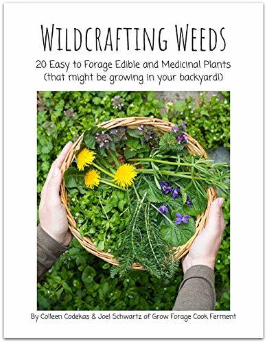 Wildcrafting Weeds: 20 Easy to Forage Edible and Medicinal Plants by ...