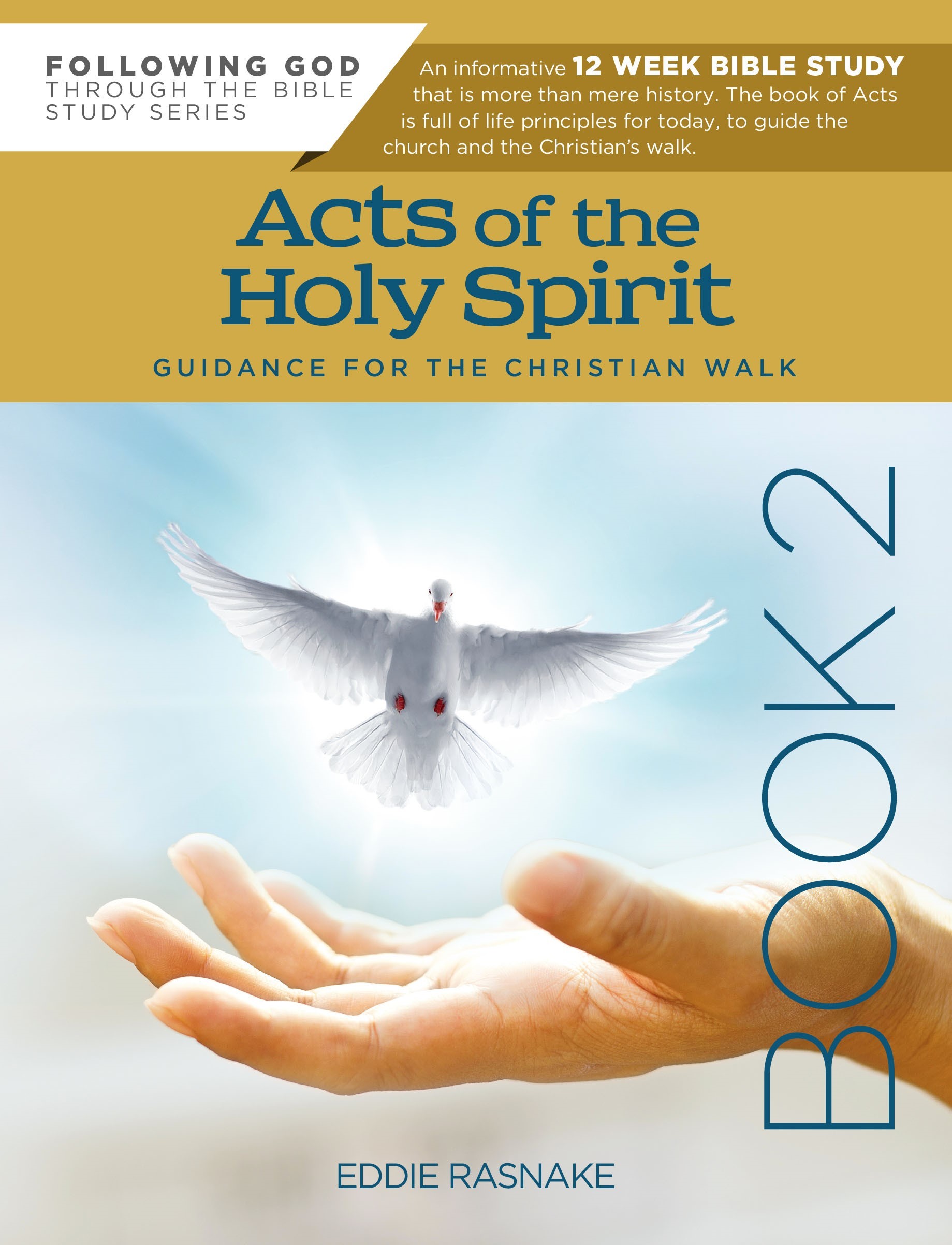 Acts of the Holy Spirit Book 2: Guidance for the Christian Walk by ...