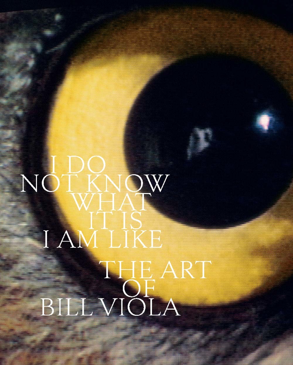 I Do Not Know What It Is I Am Like: The Art of Bill Viola by John ...