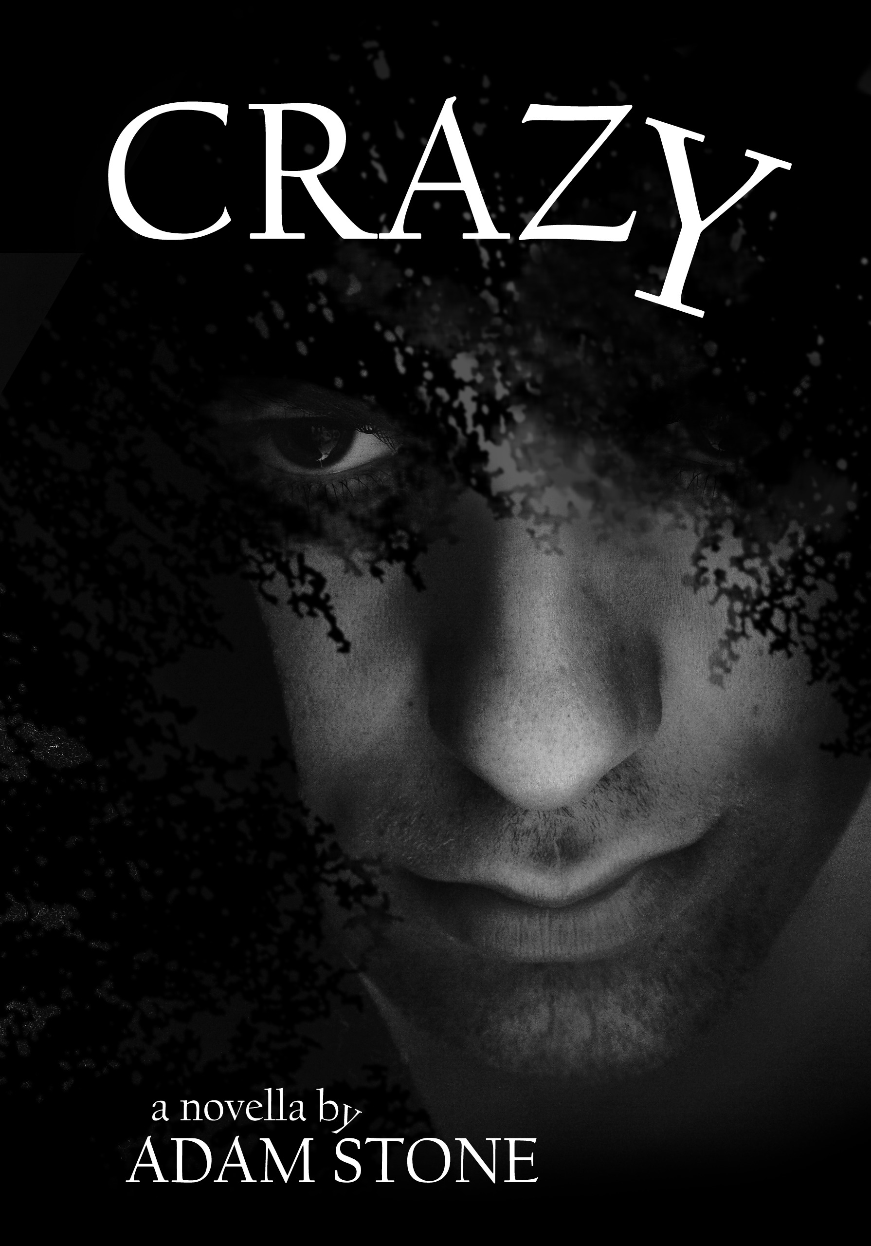 CRAZY by Adam Stone | Goodreads
