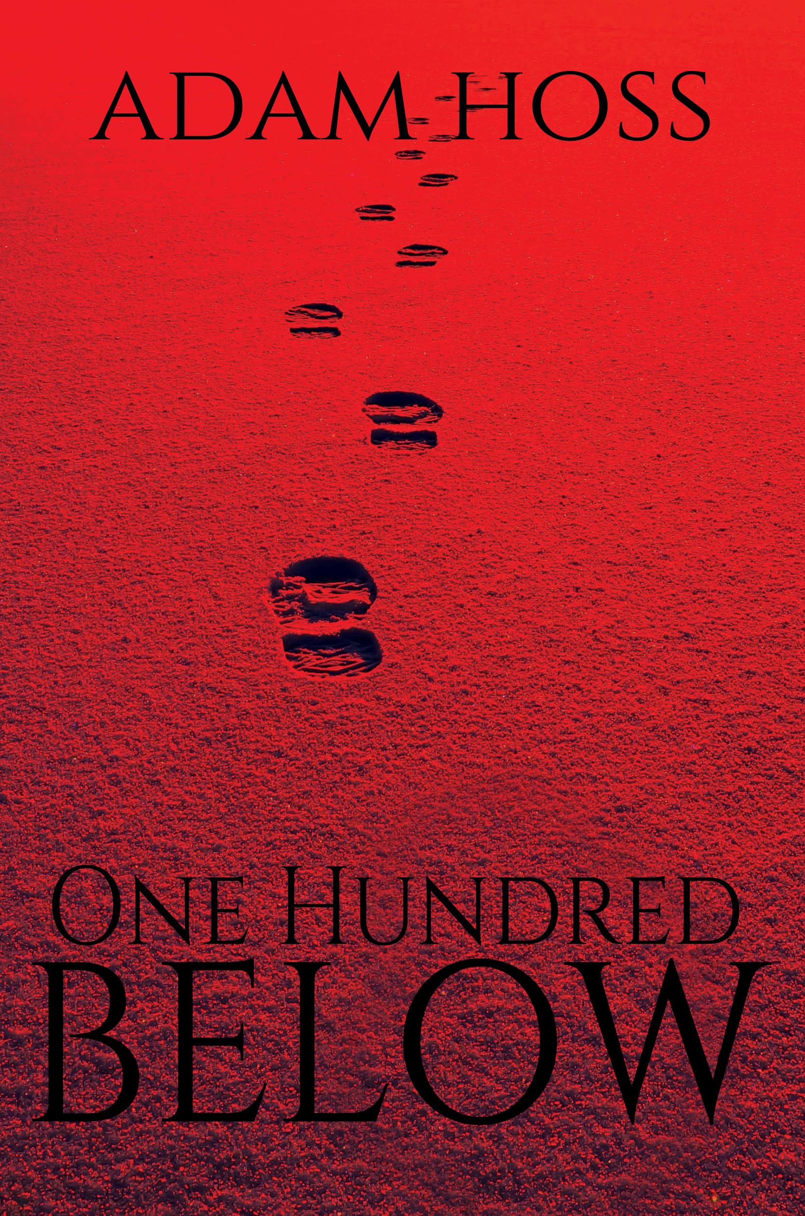 One Hundred Below by Adam Hoss | Goodreads