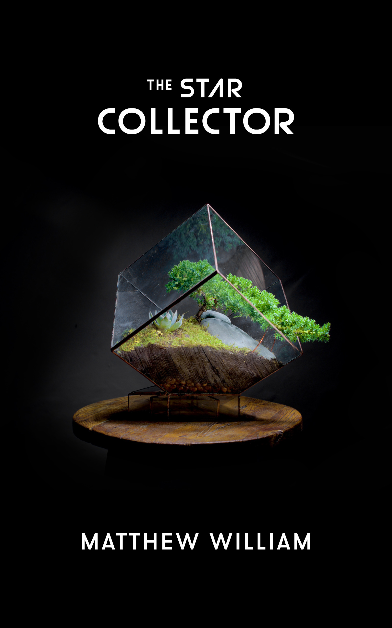 The Star Collector by Matthew William | Goodreads