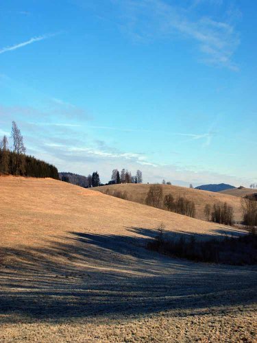 Everybody Is Going Steady by Rev. Raymond Wahl | Goodreads