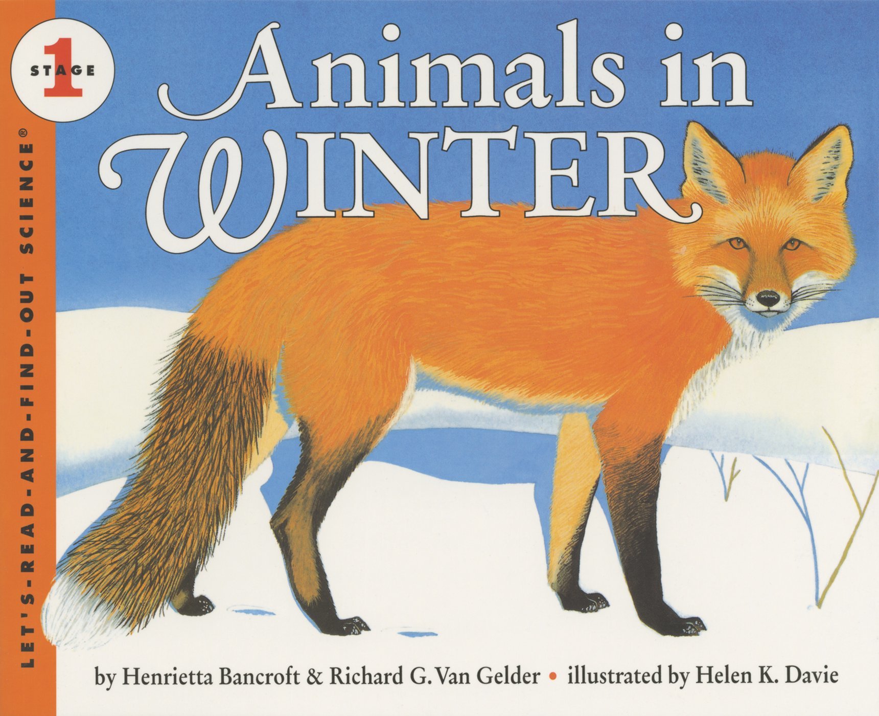 Animals in Winter by Henrietta Bancroft | Goodreads