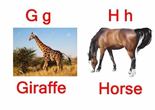 i-Read eFlashcards 2: Teach your kid the basic concept of reading using ...