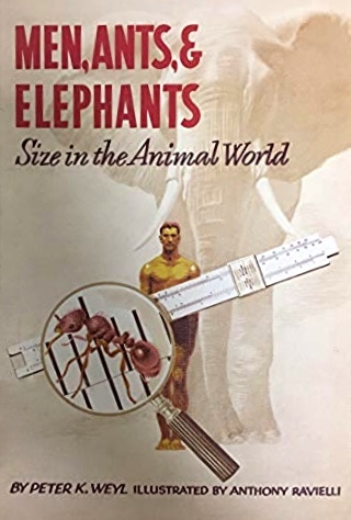 Men, Ants, and Elephants: Size In the Animal World by Peter K. Weyl ...