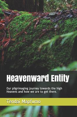 Heavenward Entity by Tendai Mapfumo | Goodreads