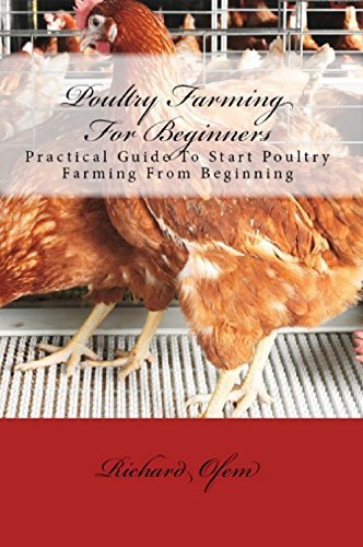 Poultry Farming for Beginners: Basic guide to start poultry farming ...