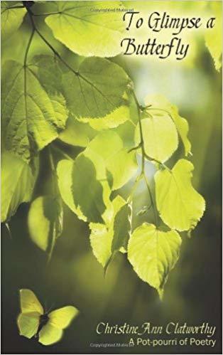 To Glimpse a Butterfly by Christine Ann Clatworthy | Goodreads