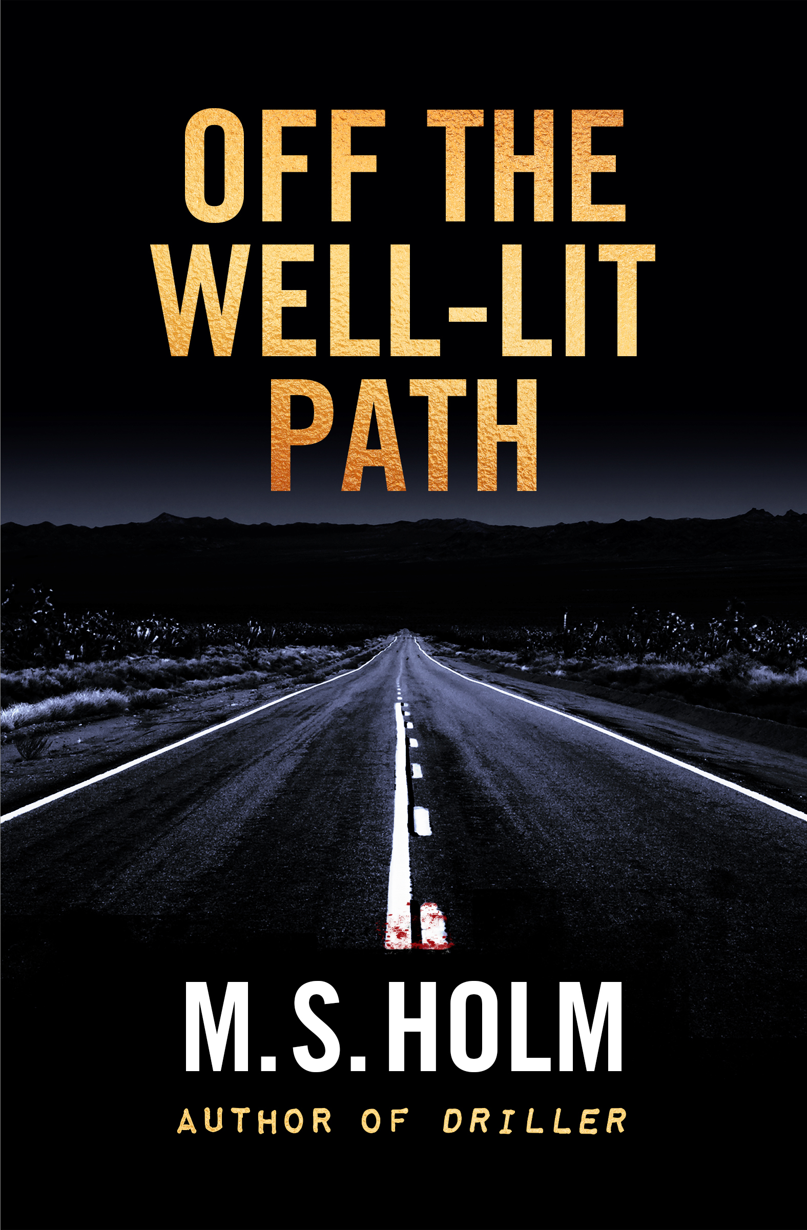 Off The Well-Lit Path by M.S. Holm | Goodreads