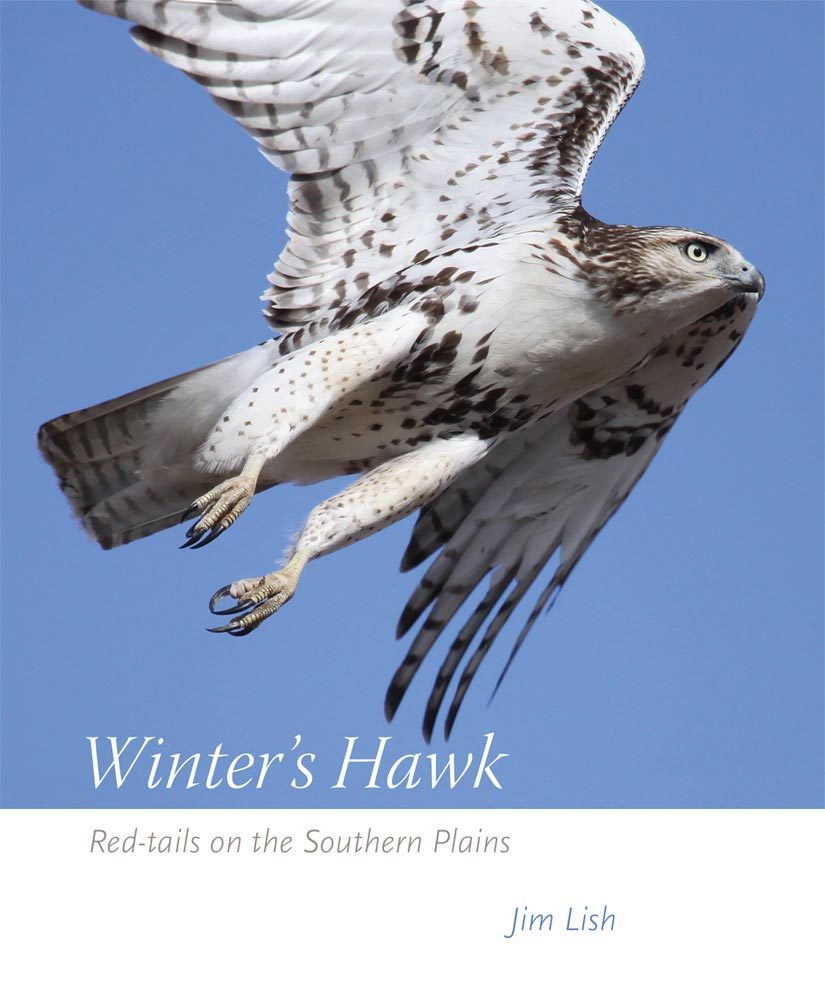 Winter's Hawk: Red-tails on the Southern Plains by James W. Lish ...