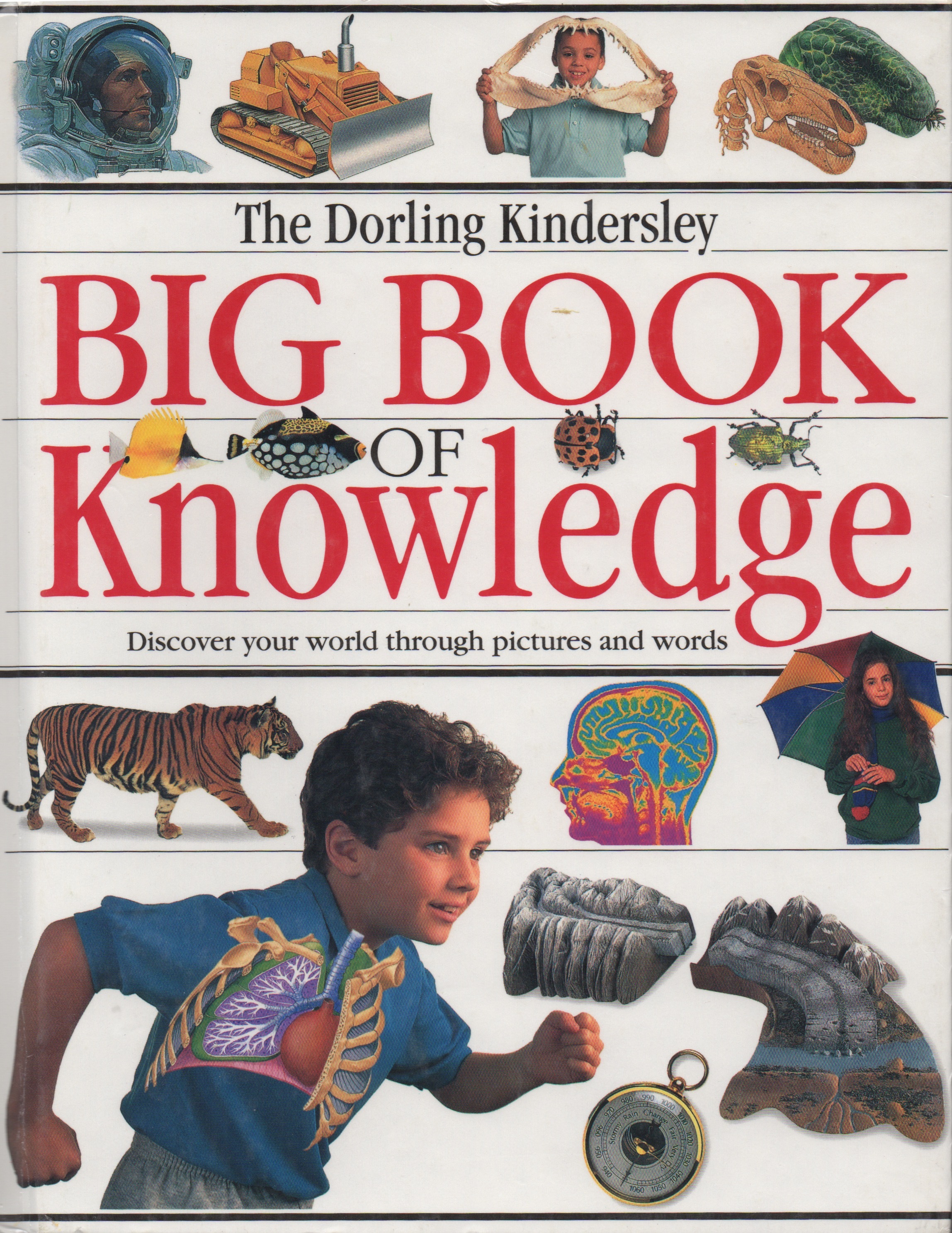 The Big Book of Knowledge by Sarah Phillips | Goodreads