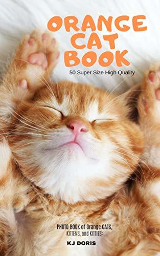 Ginger cat photography book : High quality ginger cat photo book by K.J ...