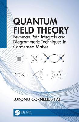 Quantum Field Theory: Feynman Path Integrals and Diagrammatic ...