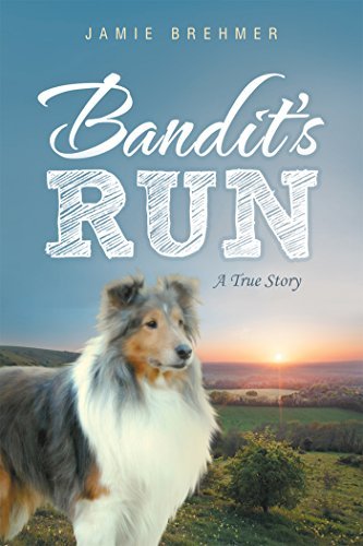Bandit's Run: A True Story by Jamie Brehmer | Goodreads