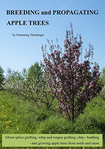 Breeding and propagating apple trees: About splice grafting, whip and ...