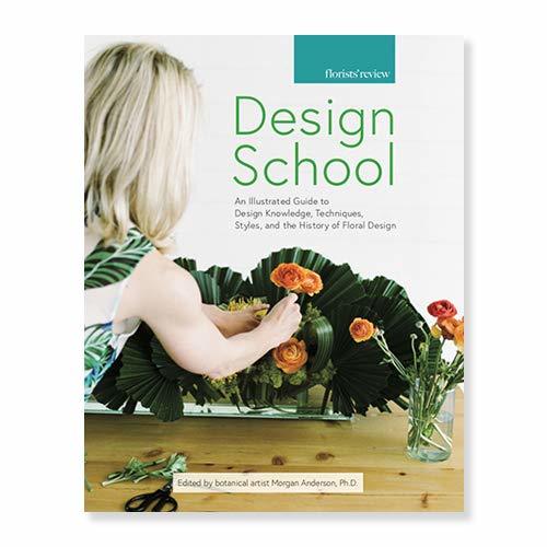 Design School: An Illustrated Guide to Design Knowledge, Techniques ...
