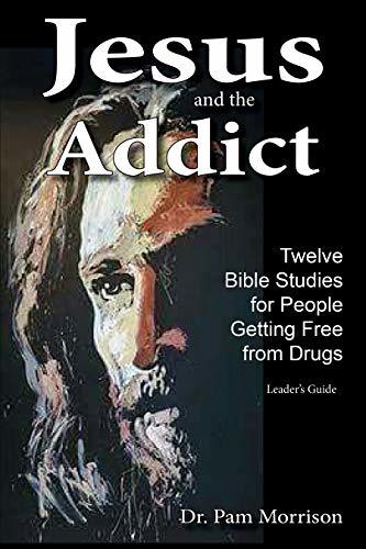 Jesus and the Addict: Twelve Bible Studies for People Getting Free from ...