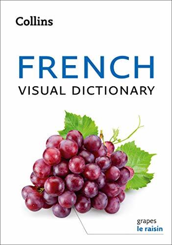 French Visual Dictionary: A photo guide to everyday words and phrases ...