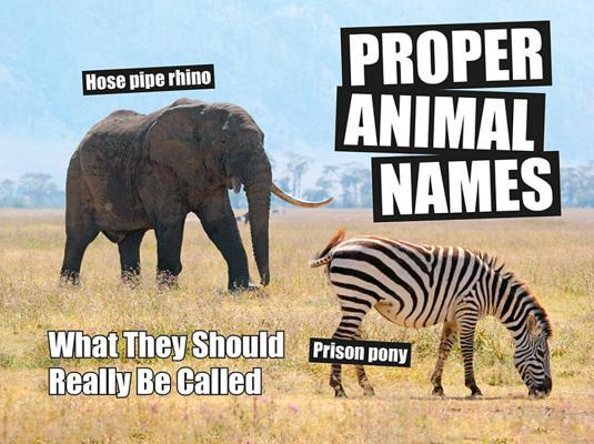 Proper Animal Names: What they should really be called by Spike Hudson ...