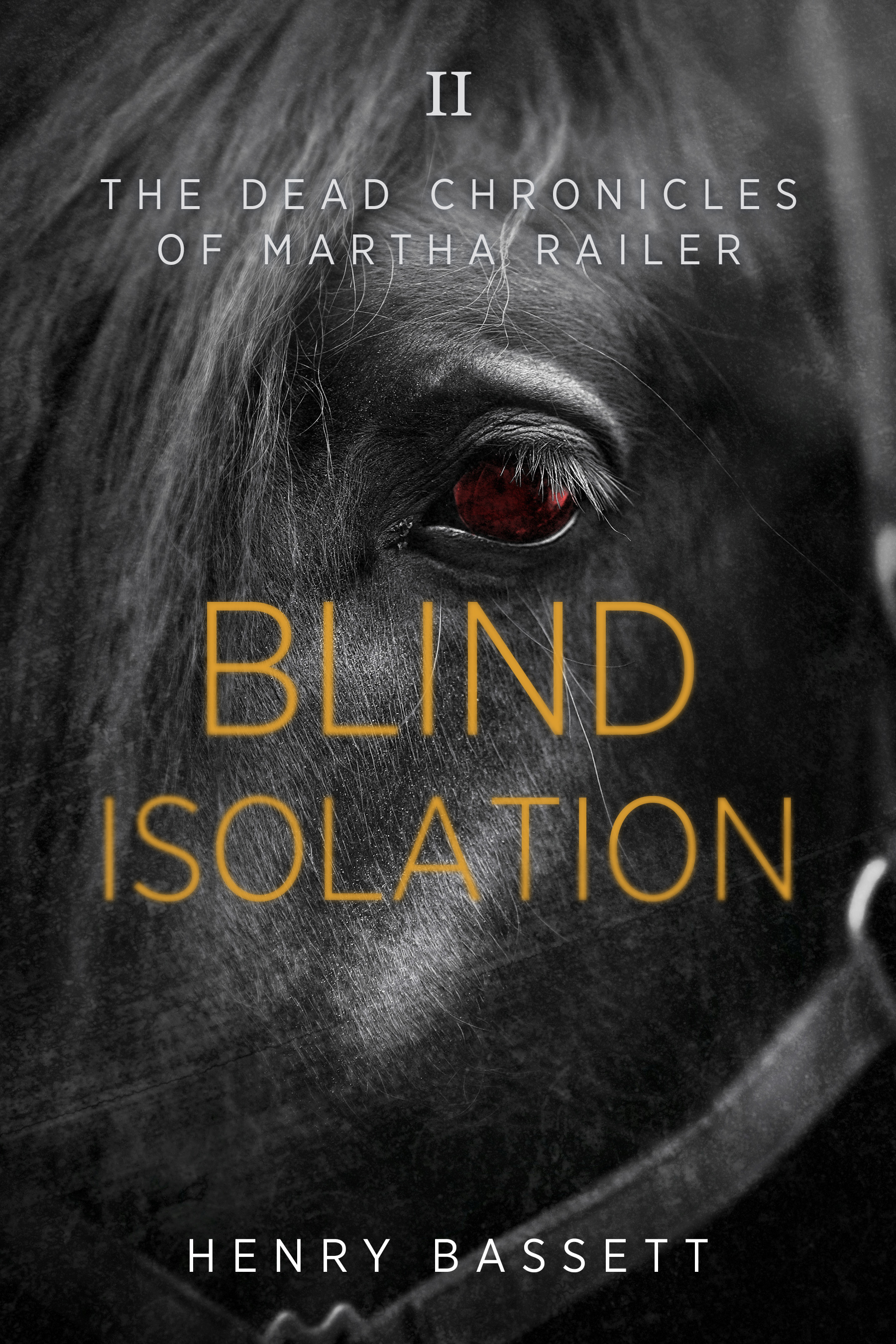 II: Blind Isolation by Henry Bassett | Goodreads