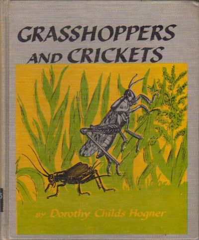 Grasshoppers and Crickets by Dorothy Childs Hogner | Goodreads