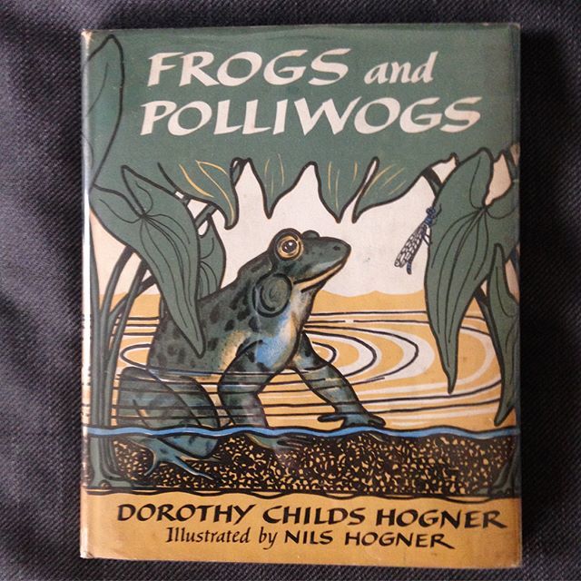 Frogs and Polliwogs by Dorothy Childs Hogner | Goodreads