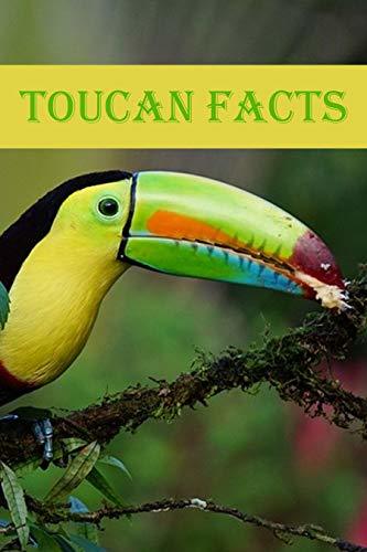 Toucan Facts : Photobook of Toucan Facts with real images and Facts ...