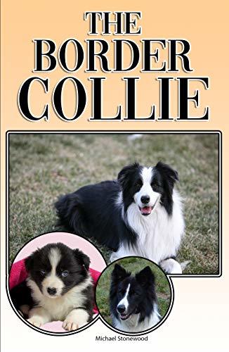 The Border Collie: A Complete and Comprehensive Owners Guide to: Buying ...