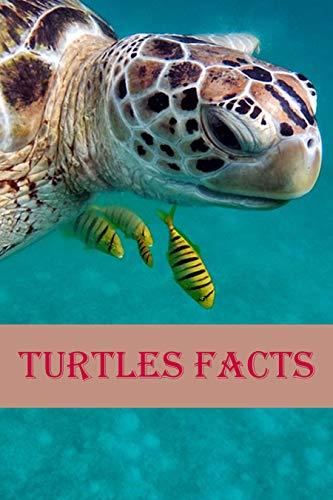 Turtle Facts: Photobook of Turtle Facts with real images and Facts that ...