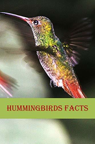 Hummingbird Facts: Photobook of Hummingbird Facts with real images and ...