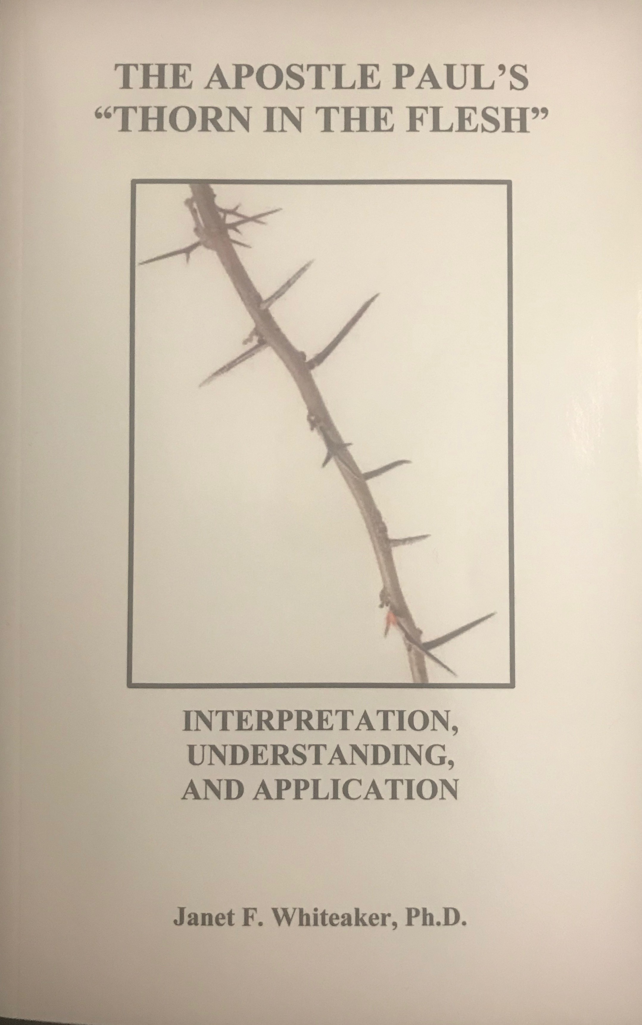 The Apostle Paul's "Thorn in the Flesh": Interpretation, Understanding ...