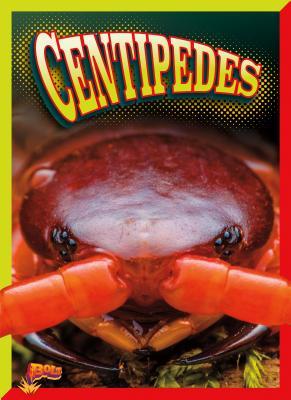 Centipedes (Crawly Creatures) by Gail Radley | Goodreads