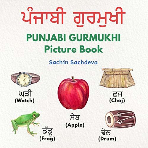 PUNJABI GURMUKHI Picture Book: Your First book for Punjabi Learning ...