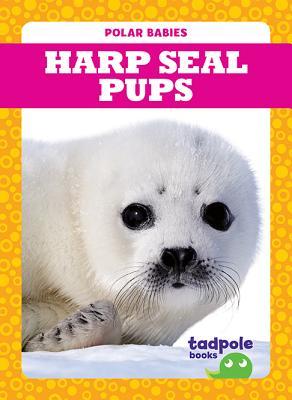 Harp Seal Pups (Tadpole Books: Polar Babies) by Genevieve Nilsen ...