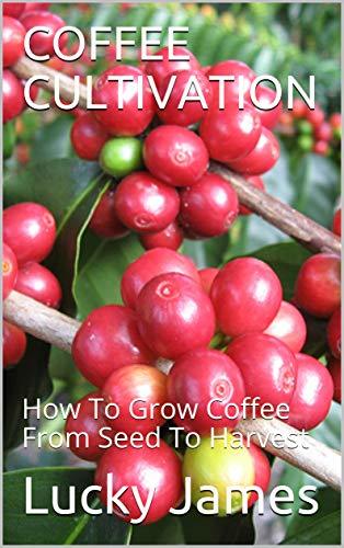 COFFEE CULTIVATION: How To Grow Coffee From Seed To Harvest by Lucky ...