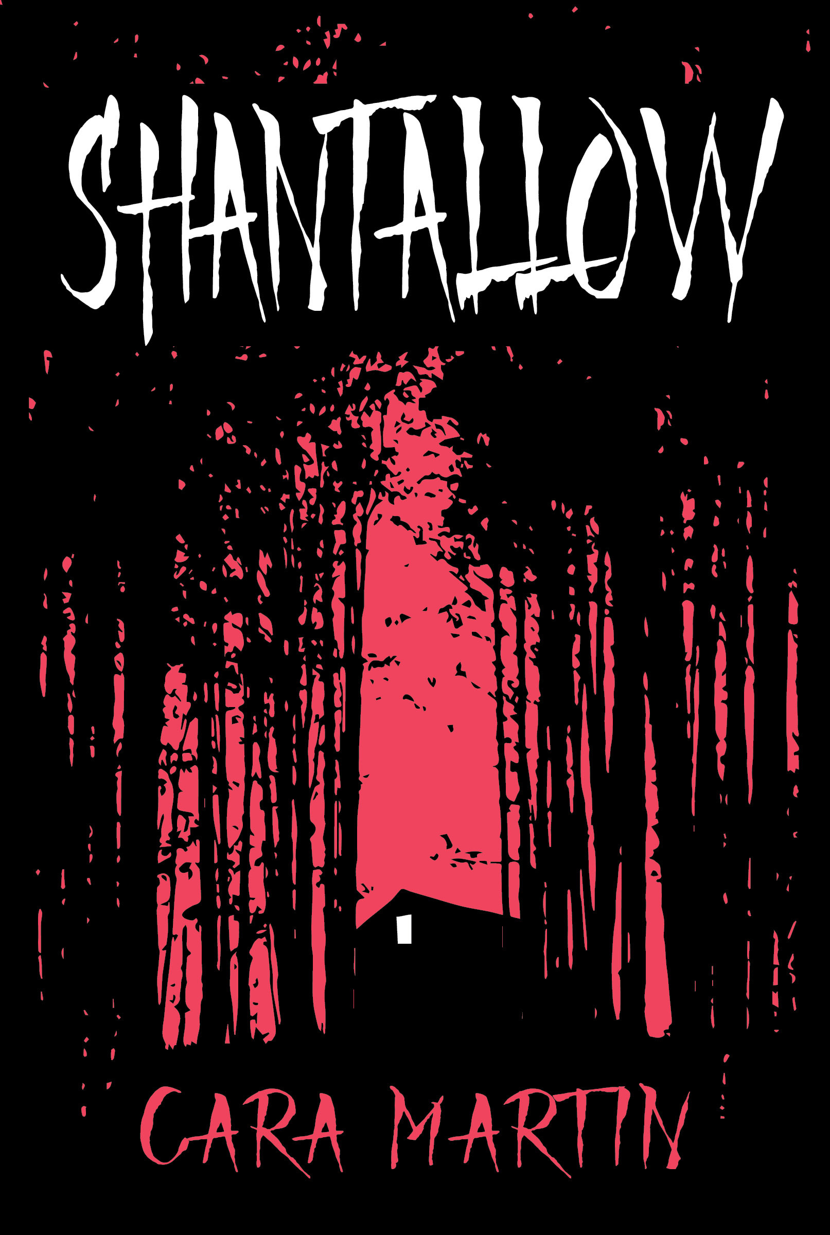 Shantallow by Cara Martin | Goodreads