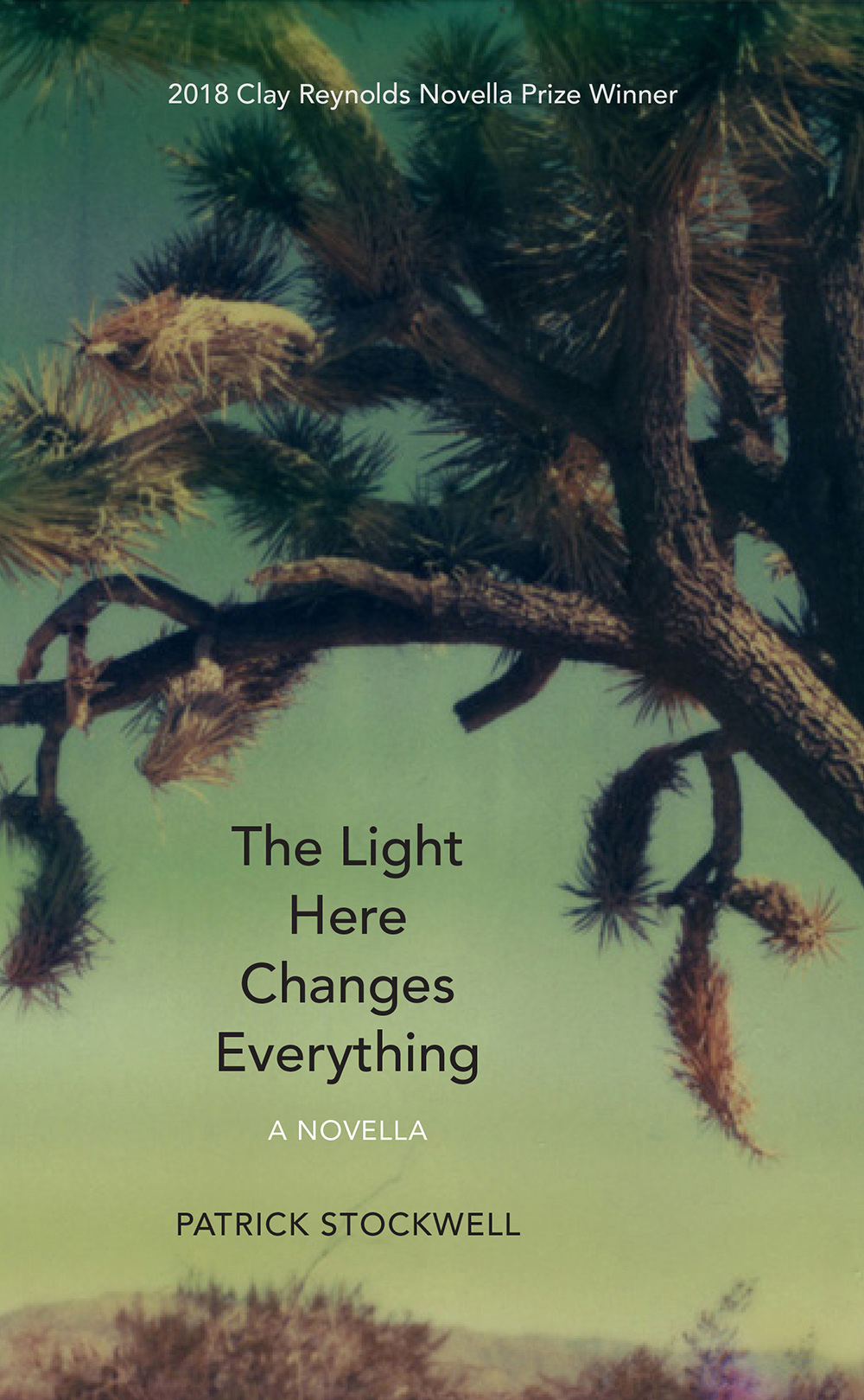 The Light Here Changes Everything: A Novella by Patrick Stockwell ...